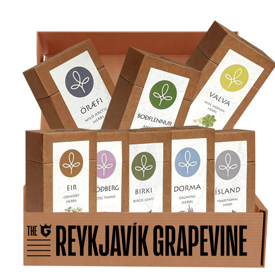 Grapevine's Big Box of Icelandic Tea! – Grapevine Store
