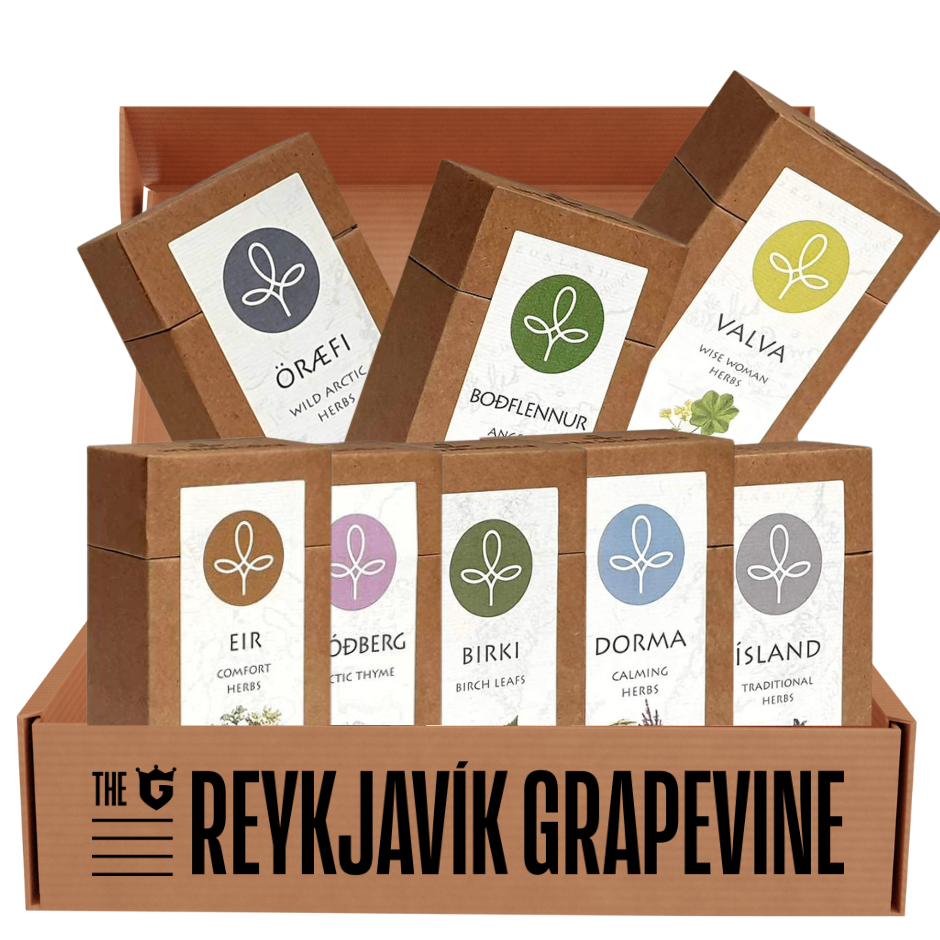 Grapevine's Big Box of Icelandic Tea! – Grapevine Store